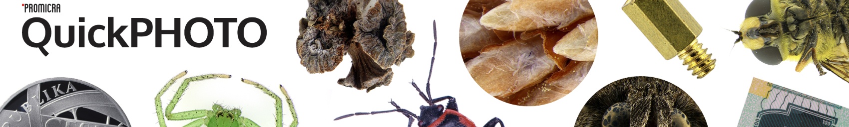 QuickPHOTO - mikroskopický software - PROMICRA