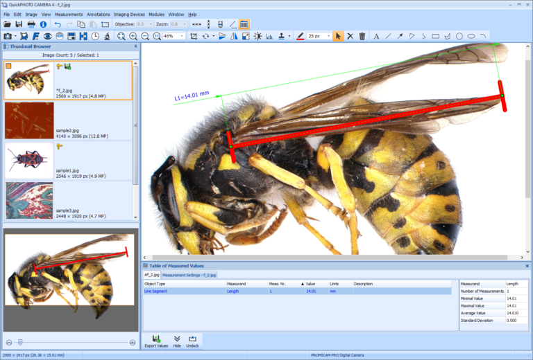 QuickPHOTO CAMERA Microscope Software - Screenshot - full - PROMICRA